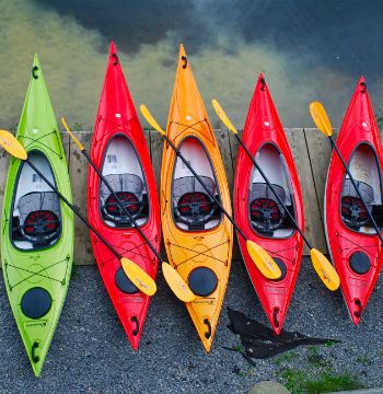 Popular Products | PaddleZone