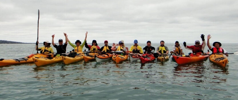 Collections | PaddleZone